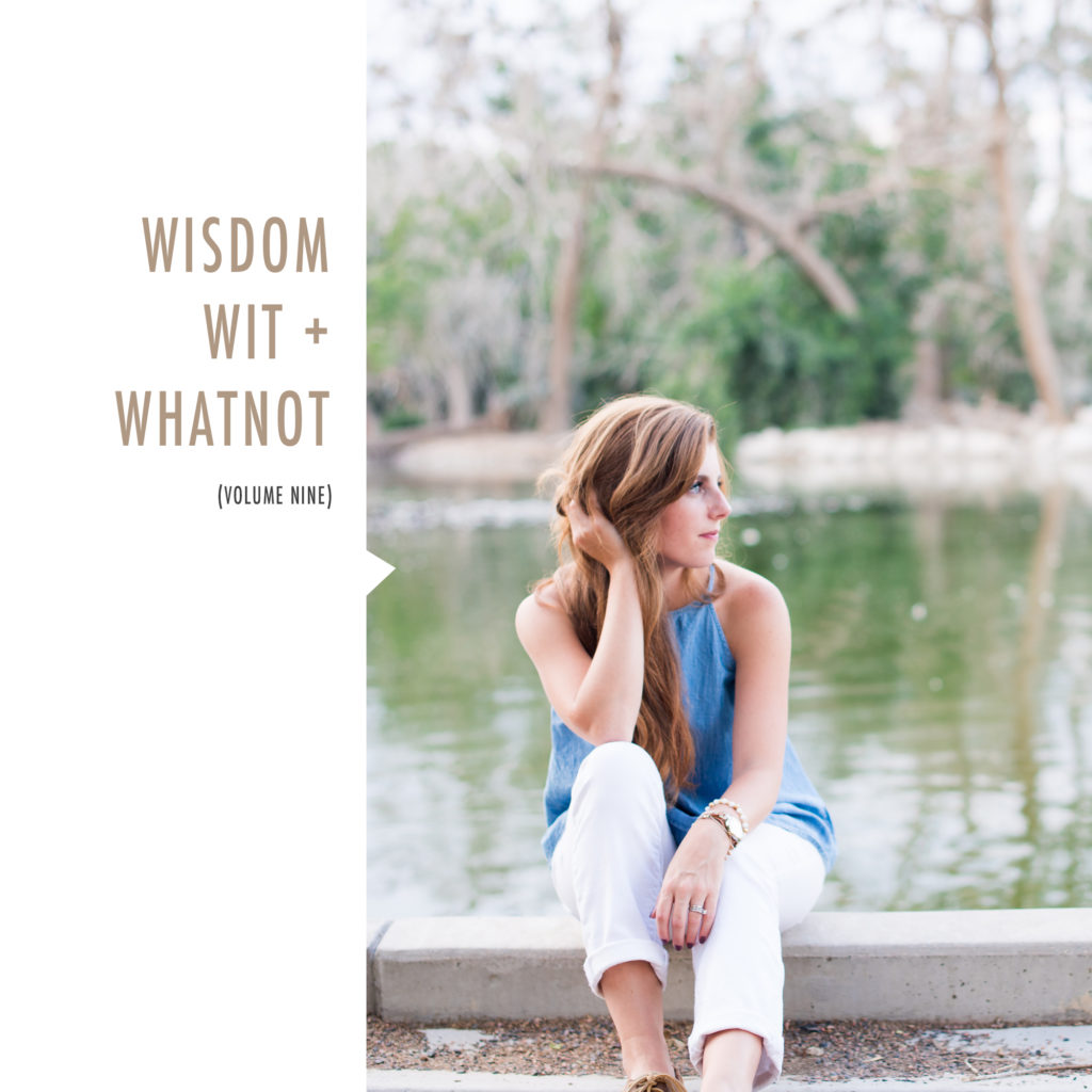 Wisdom, Wit & Whatnot | Volume Nine - Lacey Rene Studios